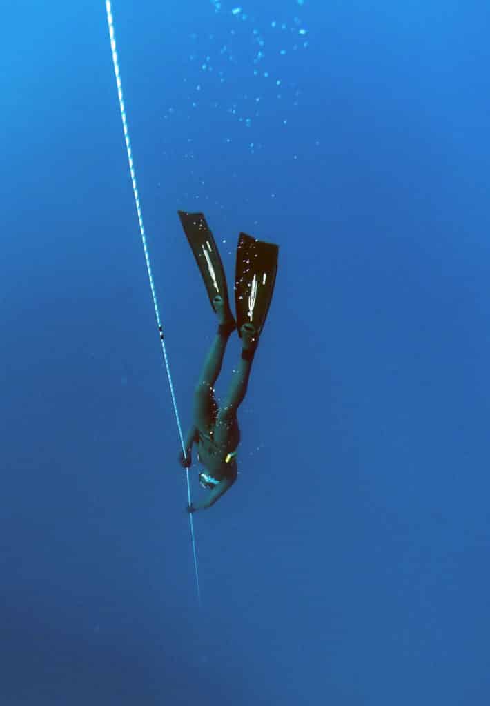 Accueil – Paimpol Aquavision